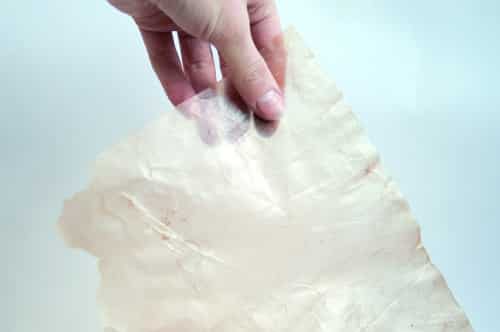 Complete Guide to Eco-Friendly Packaging for Your Business | Maxpack